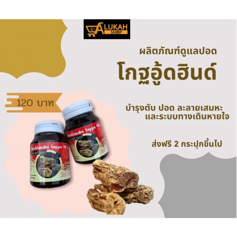 Aucklandia lappa DC อัลอูดฮินด์ (โกฐกระดูก) | Shopee Thailand