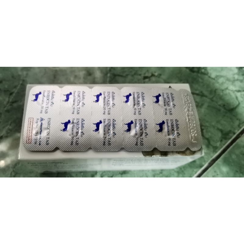 enrocin tab 50mg สำหรับหมาและแมว 1แผง(10เม็ด) - doc_and_dog_and_cat ...