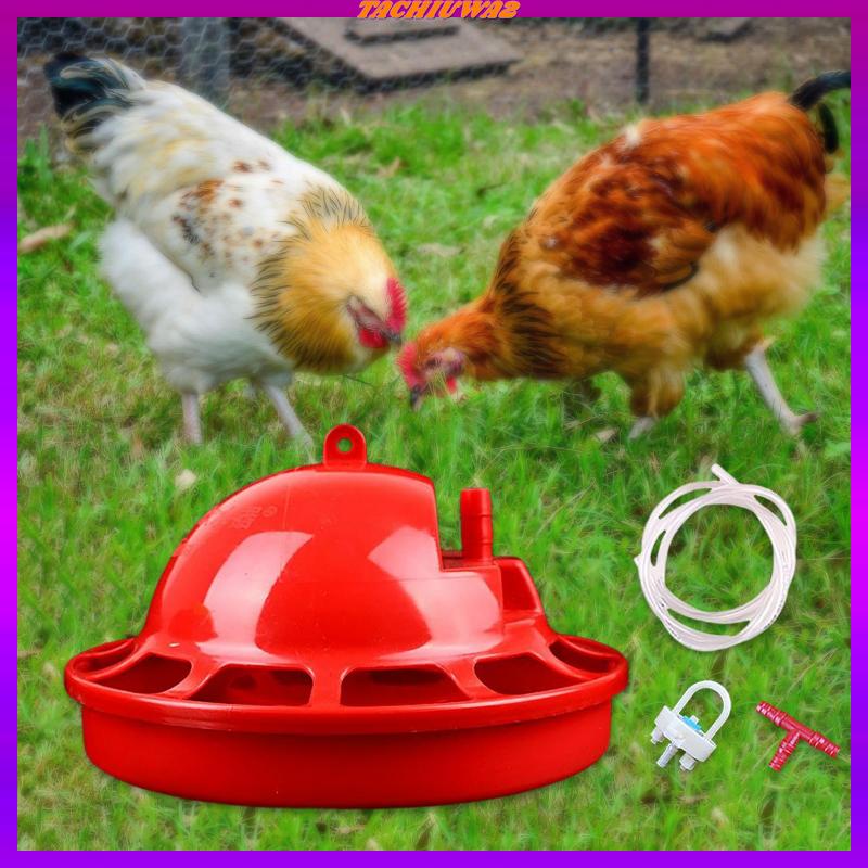 Automatic Chicken Waterer Chick Hen Poultry Farming Drinkers Set ...