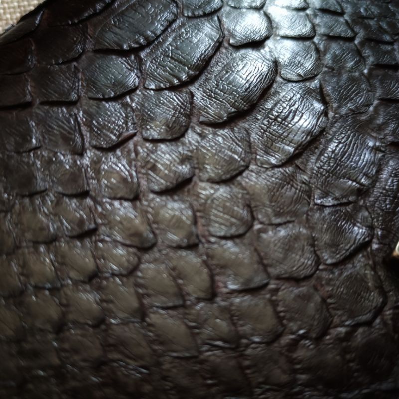 LANVIN Python Chain Bag - vbbags - ThaiPick