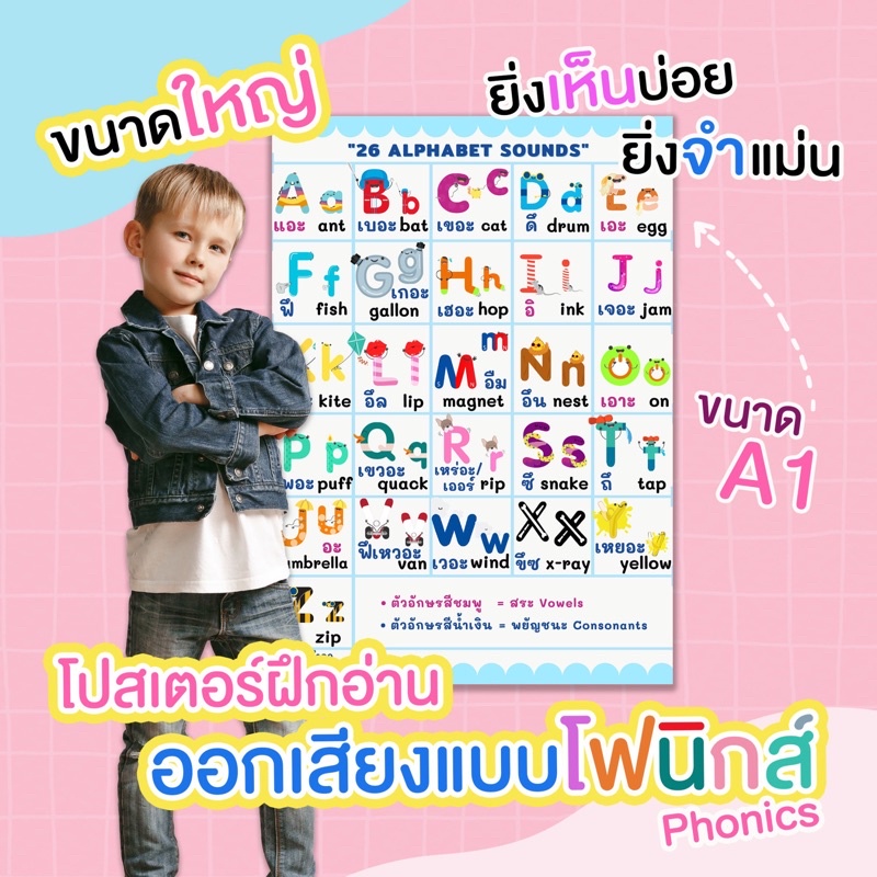 โปสเตอร์ขนาด A1 /26 Alphabet Sounds - engbrain - ThaiPick