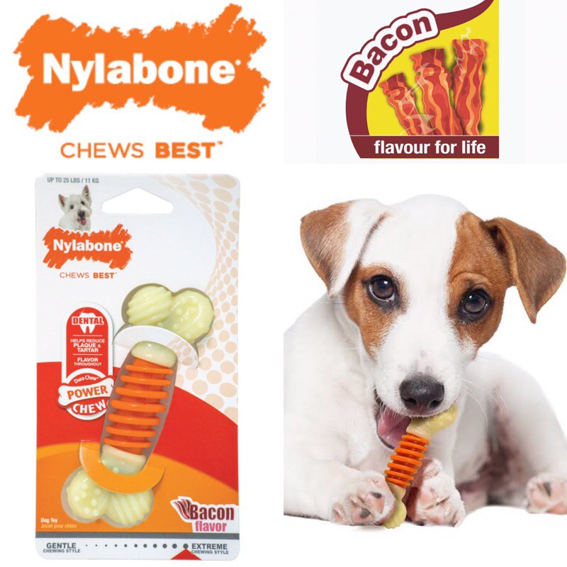 Nylabone Pro Action ของเล่นขัดฟัน - petstation - ThaiPick