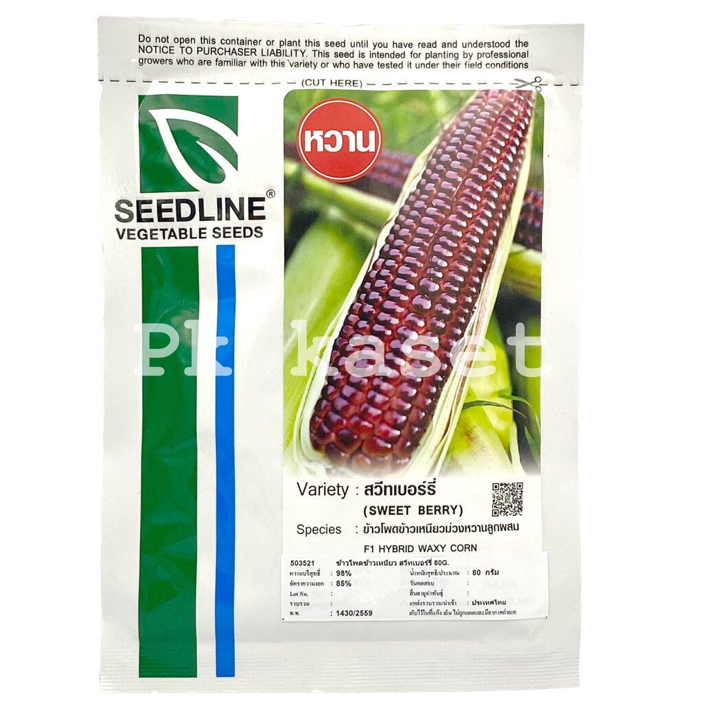 เมล็ดข้าวโพด สวีทเบอร์รี่ 80g ตราseedline ซองใหญ่ ข้าวโพดข้าวเหนียวหวานลูกผสม 480 เมล็ด - pui ...