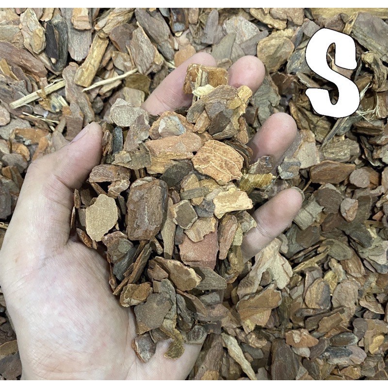 Pine Bark Bedding รองพื้นทำจากเปลือกไม้สำหรับเต่าบกและสัตว์เลื้อยคลาน 6 ...