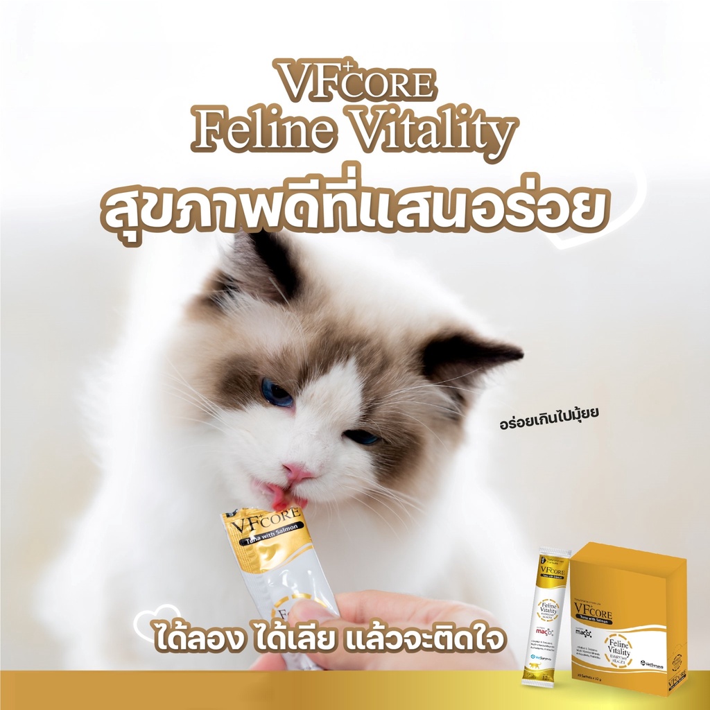 VF core Feline Vitality อาหารเสริม แมว ขนมแมวเลีย สูตรสีทอง วิตามินรวม ...