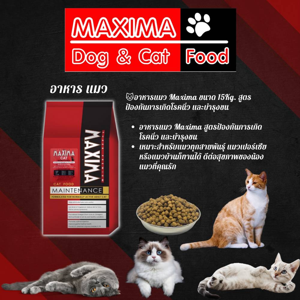 MAXIMA CAT MAINTENANCE 15 KG อาหารสำหรับแมว 15 กก.อุปกรณ - 5ysbfyz32c ...