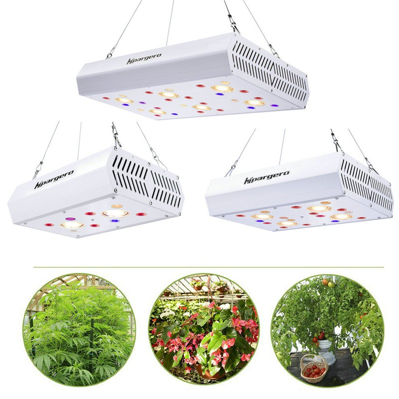 ไฟปลูกต้นไม้ LED Grow Light 800W Full Spectrum Osram 3000K COBs ช่วย ...