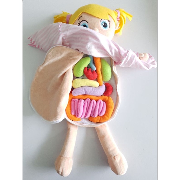 Human Anatomy Doll ถูกที่สุด พร้อมโปรโมชั่น ม.ค. 2026 | BigGoเช็คราคาง่ายๆ