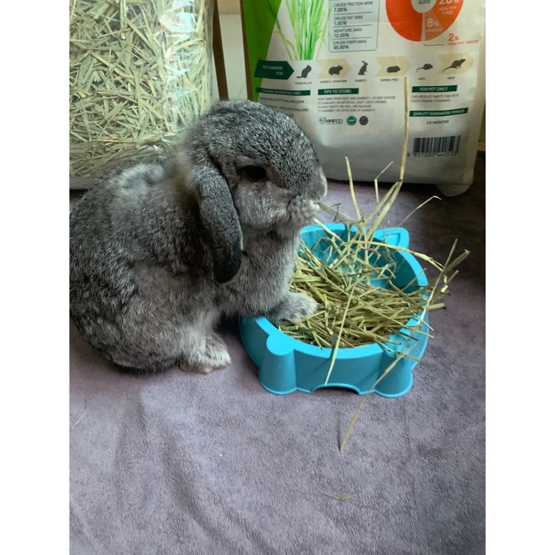 Wildloft PRO Super Premium Western Timothy 1 กก. หญ้า ทิมโมธี ...