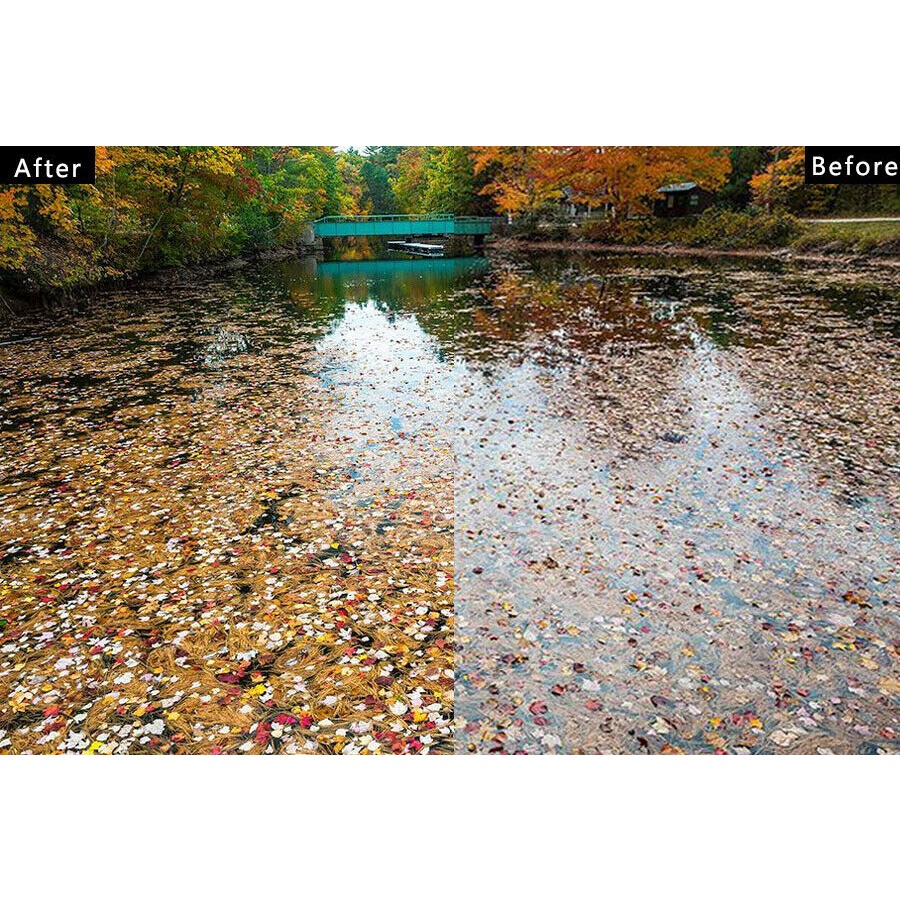 NEW Hoya HMC UV(c) 77 Mm Filter Slim Frame Digital Multicoated MC UV C for Camera Lens A UVC ...