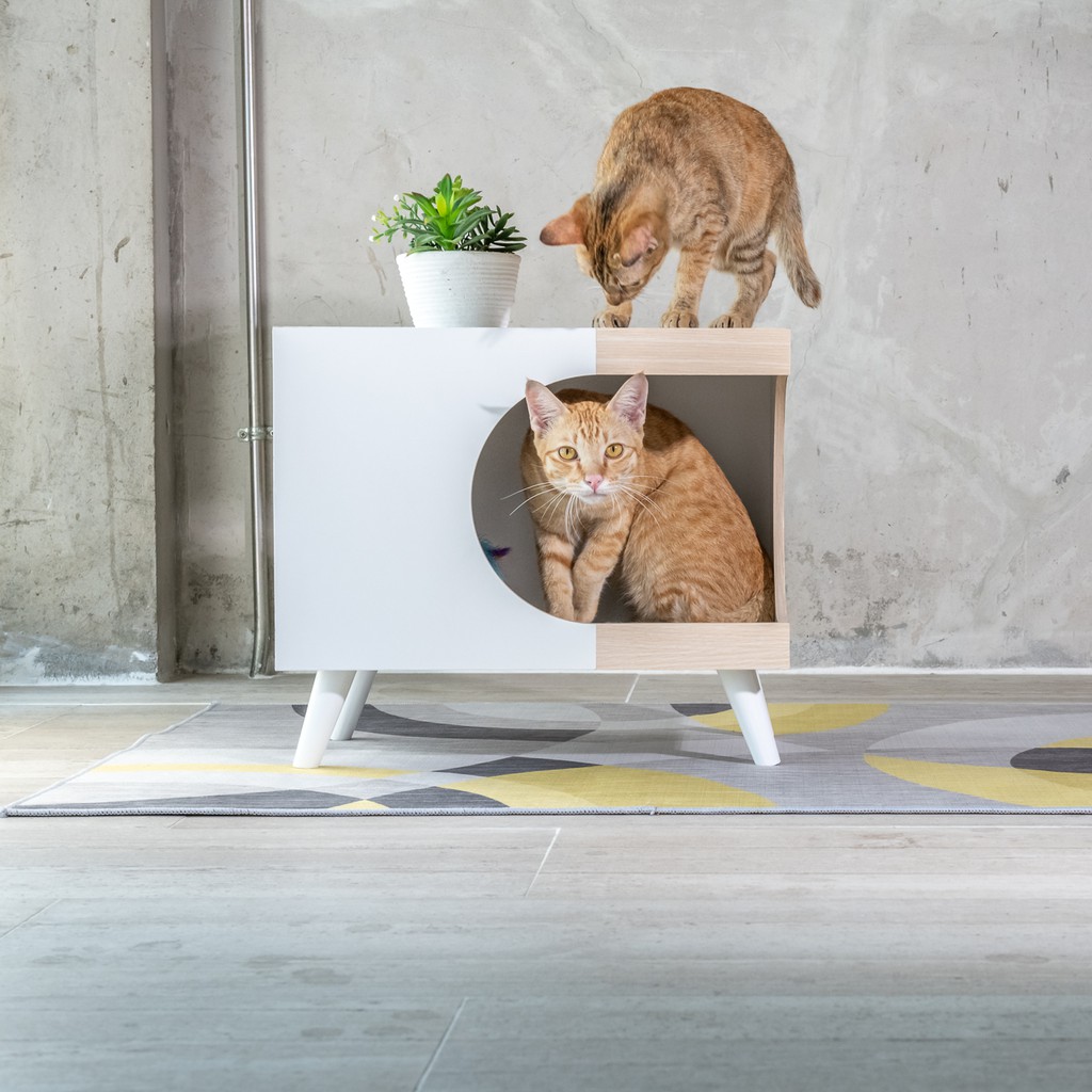 บ้านแมว สไตล์โมเดิร์น สีบีชขาว HM003 - ttamsare - ThaiPick