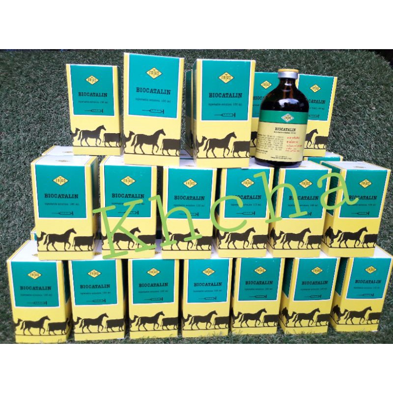 ไบโอคาตาลิน Biocatalin 100ml. วิตามินบำรุงร่างกายสำหรับสัตว์ - big ...