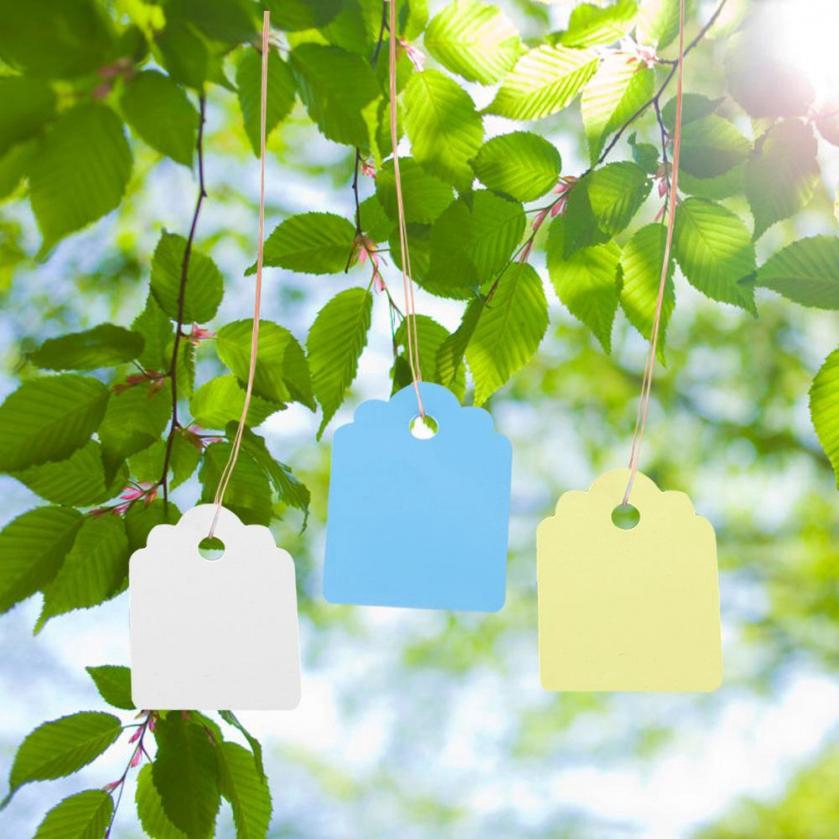 200pcs PVC Hanging Flower Plant Seed Hanging Seed Name Tag - onebuycart ...