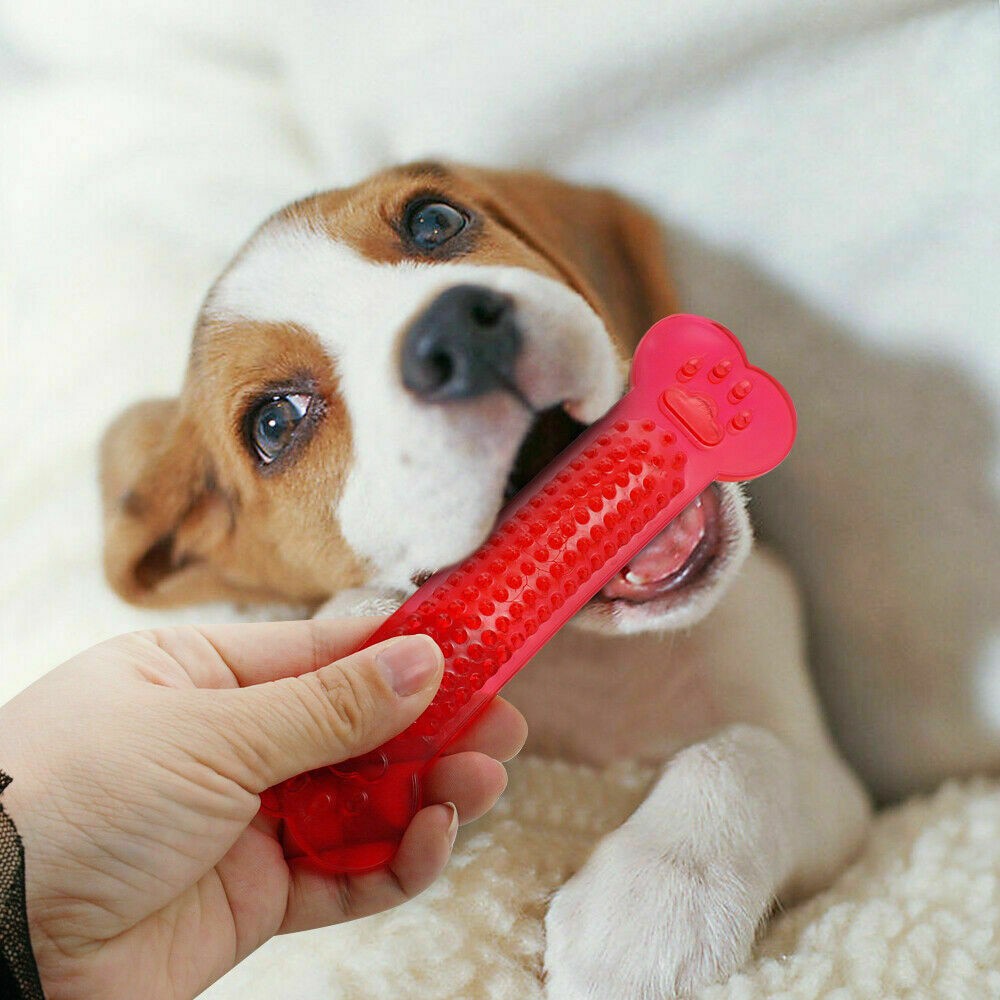 Durable Dog Chew Toys Rubber Bone Toy Aggressive Chewers Toothbrush ...
