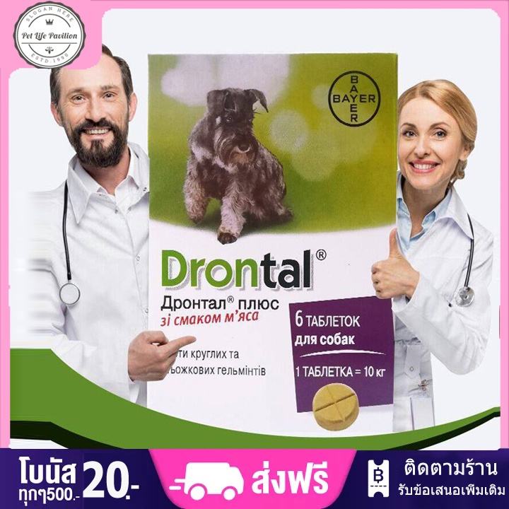 Drontal Plus Bayer Exp.042025 Drontal Plus เม็ดรสเนื้อสุนัข (6 ชิ้นเม็ด ...