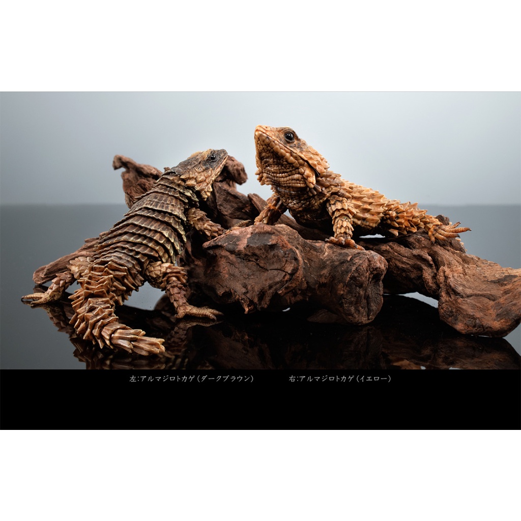 (มีของพร้อมส่ง) กาชาปองกิ้งก่ามังกร Gashapon Bandai Premium Armadillo ...