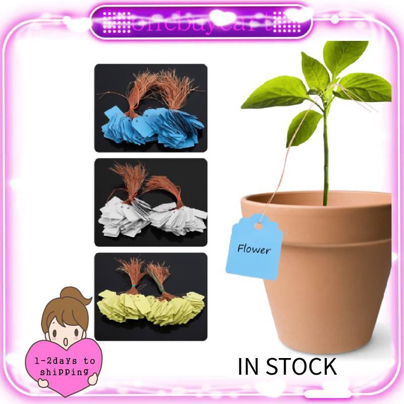 200pcs PVC Hanging Flower Plant Seed Hanging Seed Name Tag - onebuycart ...