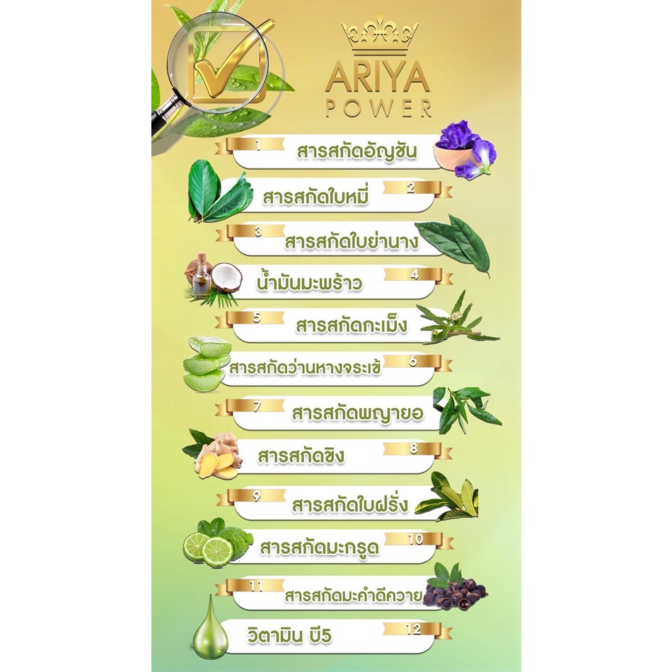 ส่งฟรี 2 แถม 1 Ariya แชมพูปิดผมขาว ผมดำใน 14 วัน ลดหงอก ลดผมร่วง ปิด ...