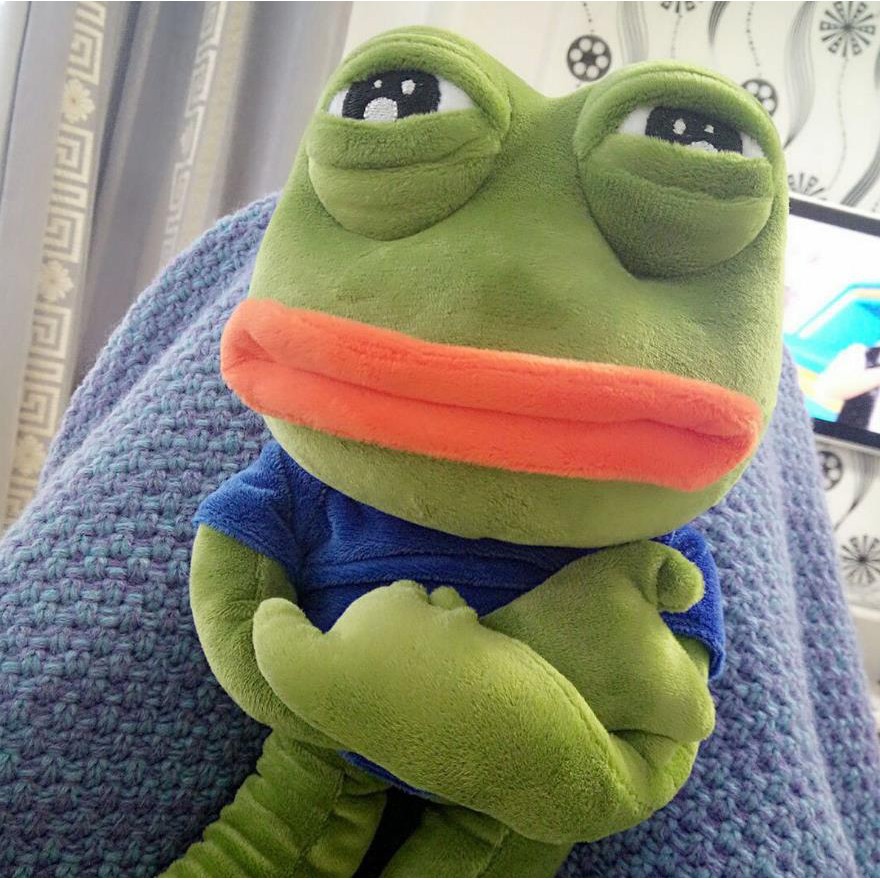 42cm Magic Exression ee The Frog Sad Frog Collection lush Stuffed Toys ...