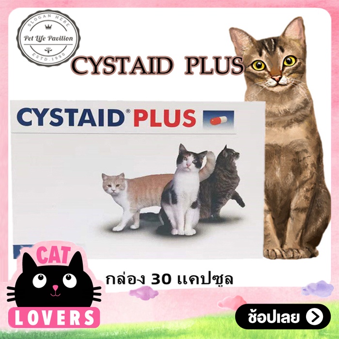 30 เม็ด นิ่ว หมด 124 Cystaid plus for cat อาหารเสริมบำรุงระบบปัสสาวะ ...
