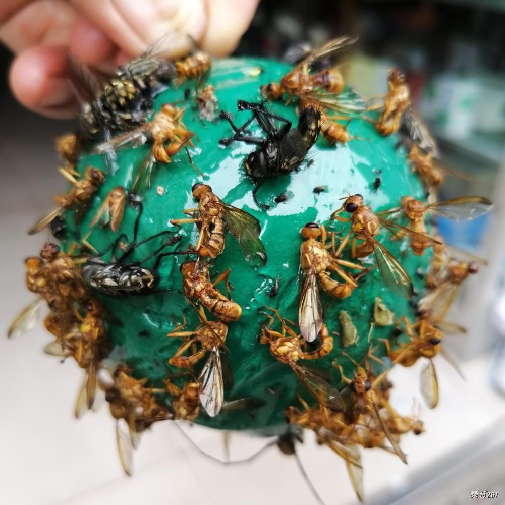 5PCS Reusable Hanging Fly Trap Ball Pest Repeller Killer Hanging On ...