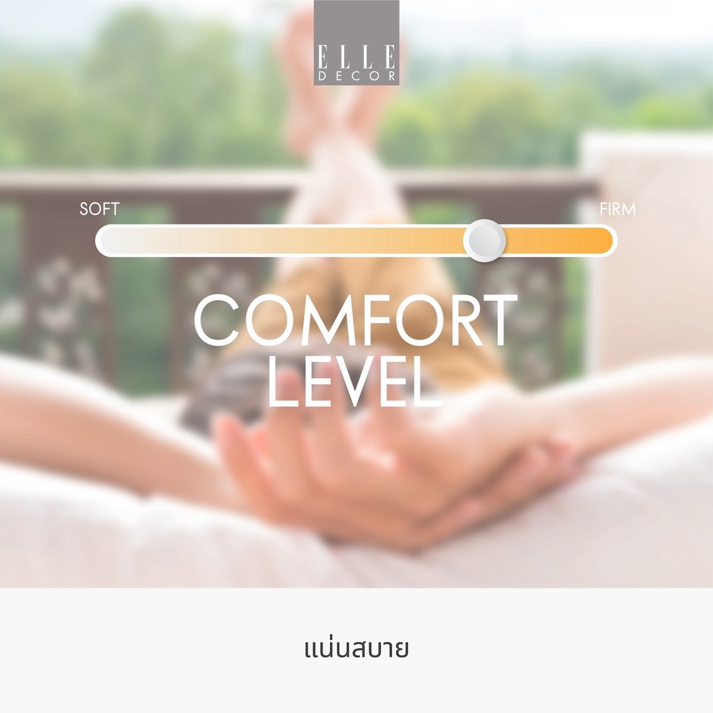 Elle Decor ที่นอนยางพาราแท้ 100 (สเปคแน่นสบาย) รุ่น Emilie Basic หนา 8 นิ้ว ฟรีของสมนาคุณตามขนาด ...
