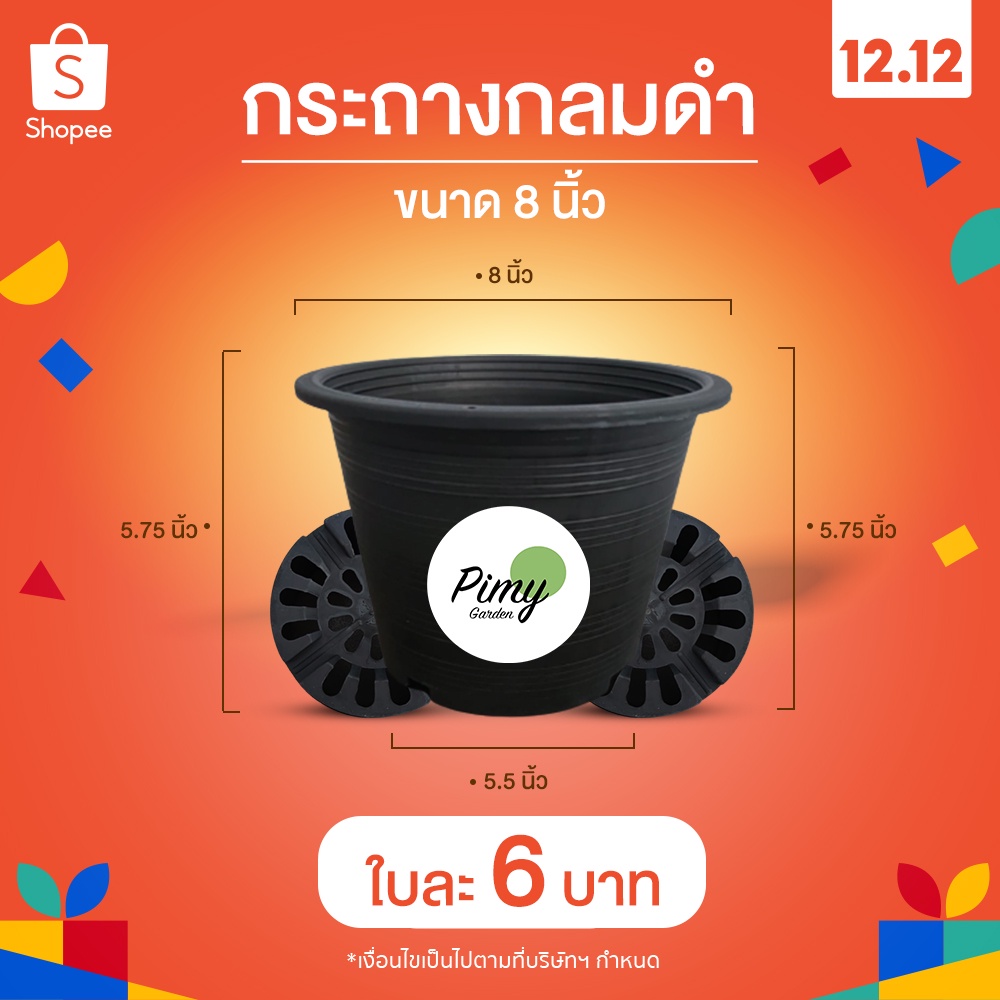 [โค้ดลดเพิ่ม 20% ไม่มีขั้นต่ำ SMAPAYDAY200] ต้นมอนพลูฉีก ประดับสวนใน ...