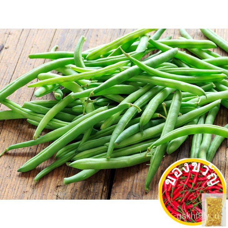 BAGUIO BEANS SEEDS (20pcs seeds) HYBRIDEASY TO GROWHIGH YIELDING ...