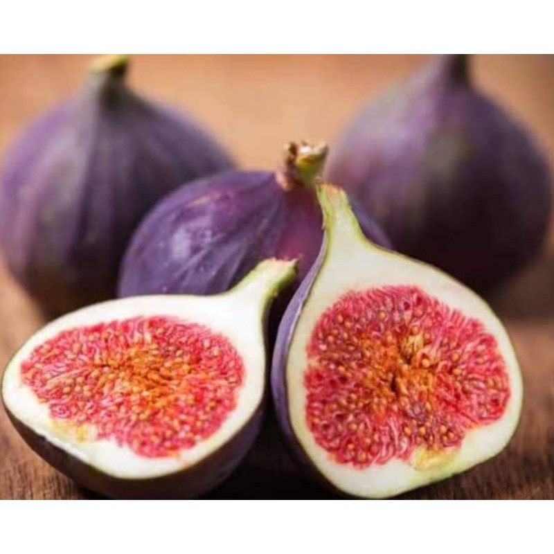 มะเดื่อฝรั่งพันธุ์ญี่ปุ่น ถูกที่สุด พร้อมโปรโมชั่น ส.ค. 2024|BigGoเช็คราคาง่ายๆ