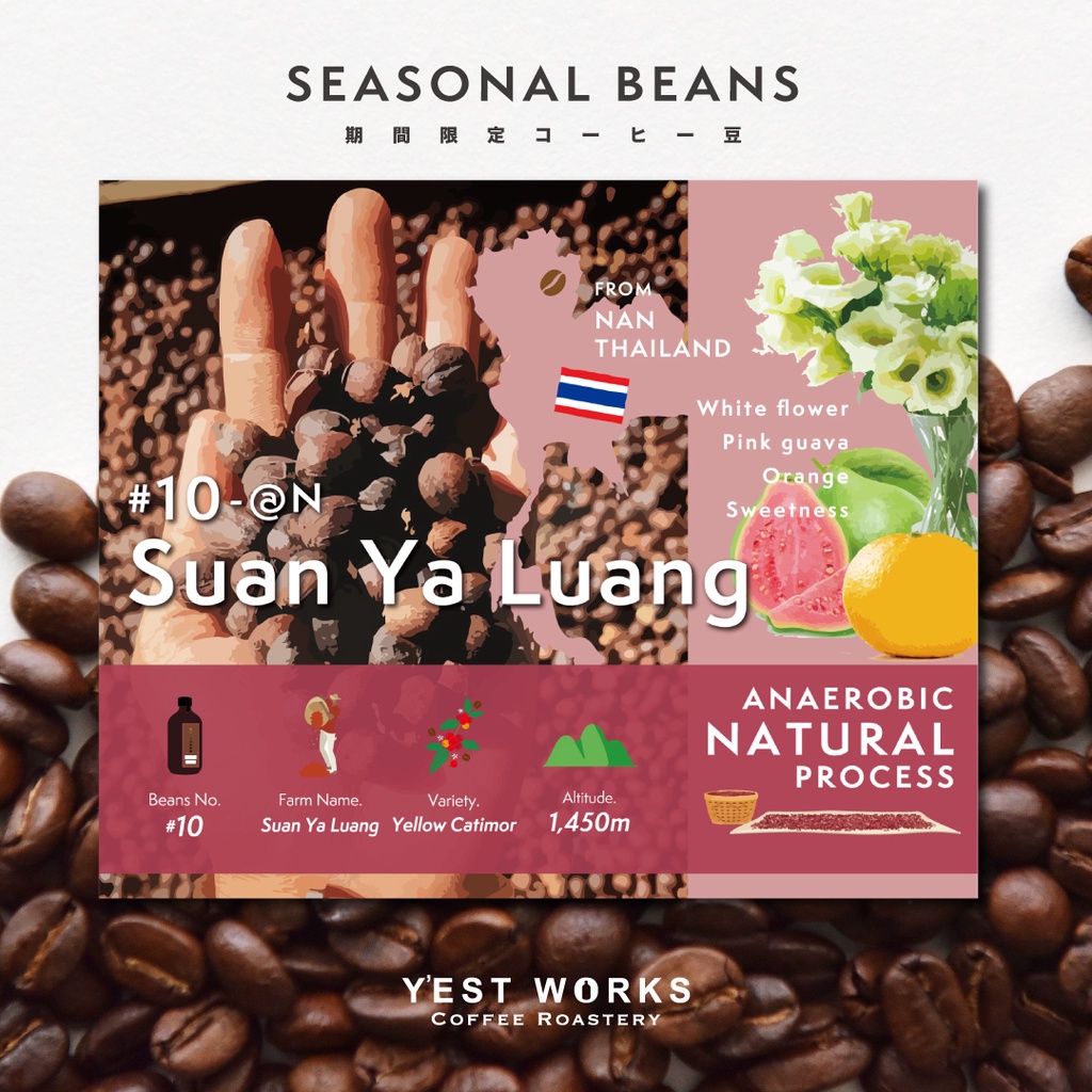 เมล็ดกาแฟคั่ว 10-N Suan Ya Luang น่าน By YEST WORKS Coffee beans 200g100g - yestworks - ThaiPick
