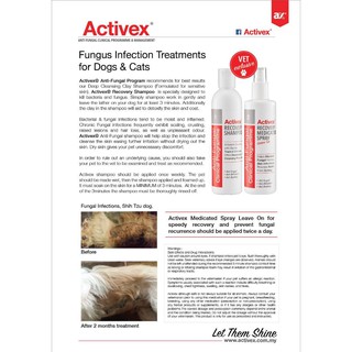 (FREE GIFT) ACTIVEX: Complete Anti-Fungal Treatment Set (250ml) [Recovery Shampoo + Medicated ...