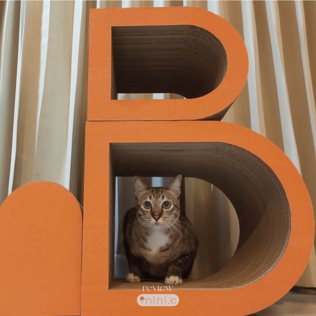 ที่ลับเล็บแมวอาร์ค ทรงโค้งมน สไตล์มินิมอล - ARC cat scratcher (แบบ Set ...