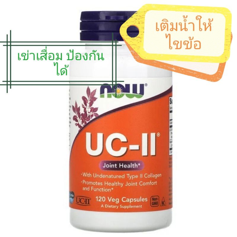พร้อมส่ง Now Foods UC-II Joint Health Undenatured Type II Collagen ...