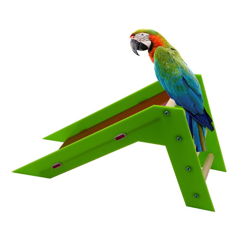 Top Parrot Toy Bird Intelligence Skill Training Slide and Crawling ...