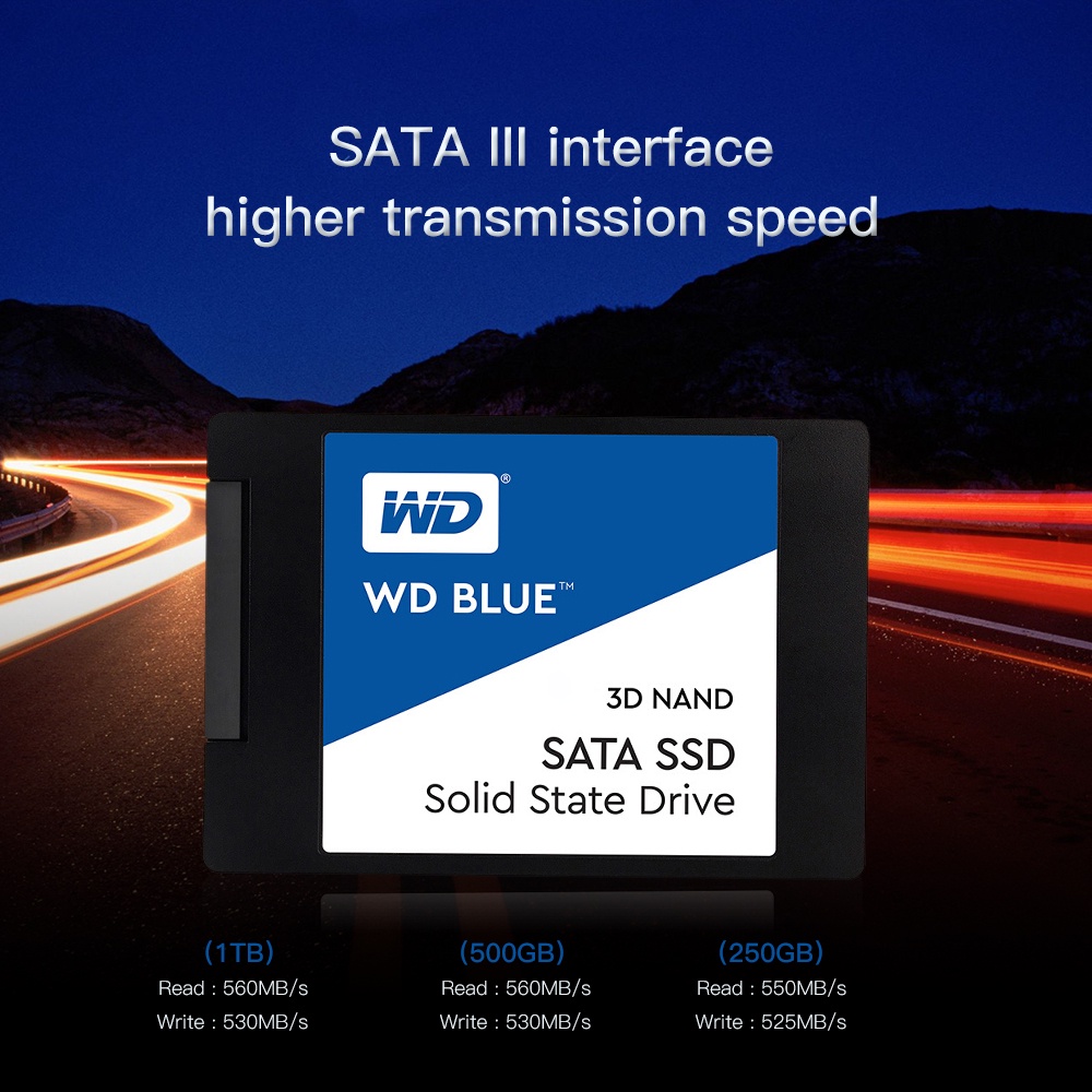 (ส่งจากกรุงเทพ) Western Digital 250GB 500GB 1TB SSD (เอสเอสดี) WD BLUE 3D NAND SATA WDS250G2B0A ...