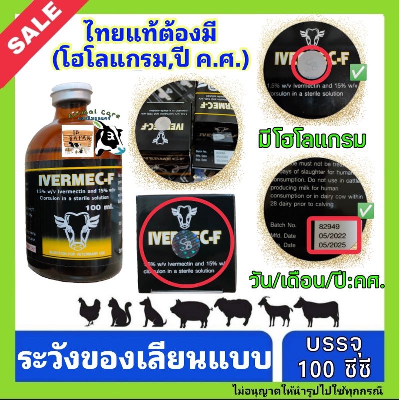Pendistrep L.A. เพ็นไดสเตร็ป แอลเอ 100 ml Exp 082023 (ไม่มีกล่อง ...
