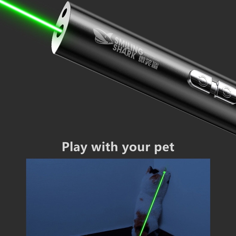 SmilingShark Portable green laser Light red pen USB rechargeable pointer cat play teach ponter ...