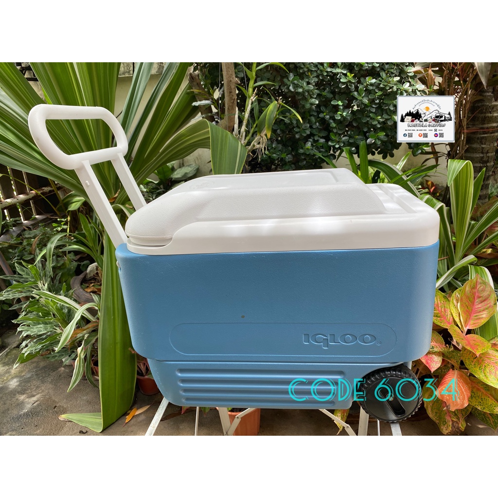 igloo ถัง ถูกที่สุด พร้อมโปรโมชั่น ม.ค. 2025 | BigGoเช็คราคาง่ายๆ