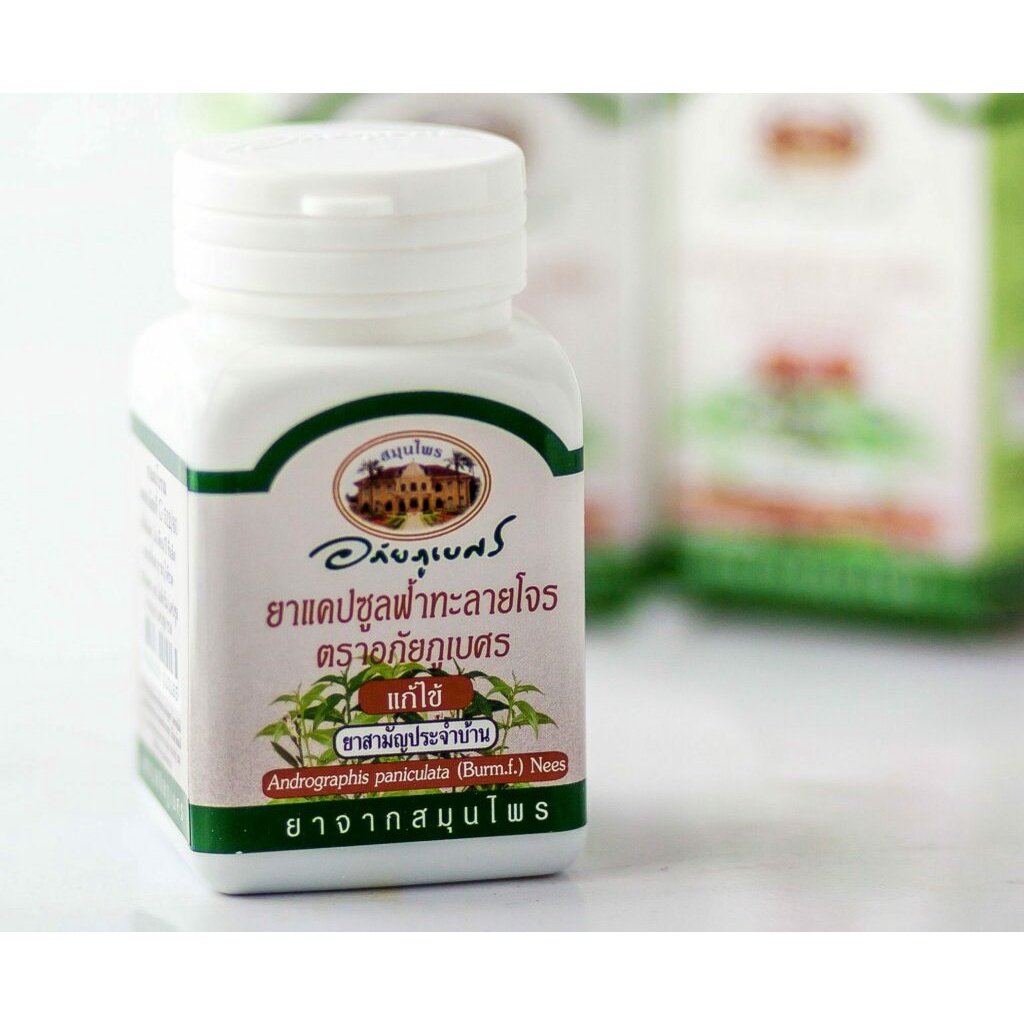 ABHAI ANDRO อภัยภูเบศร แอนโดร ยาแคปซูล สารสกัดฟ้าทะลายโจร 30 แคปซูล อภัยภูเบศร ฟ้าทะลายโจร 400mg ...
