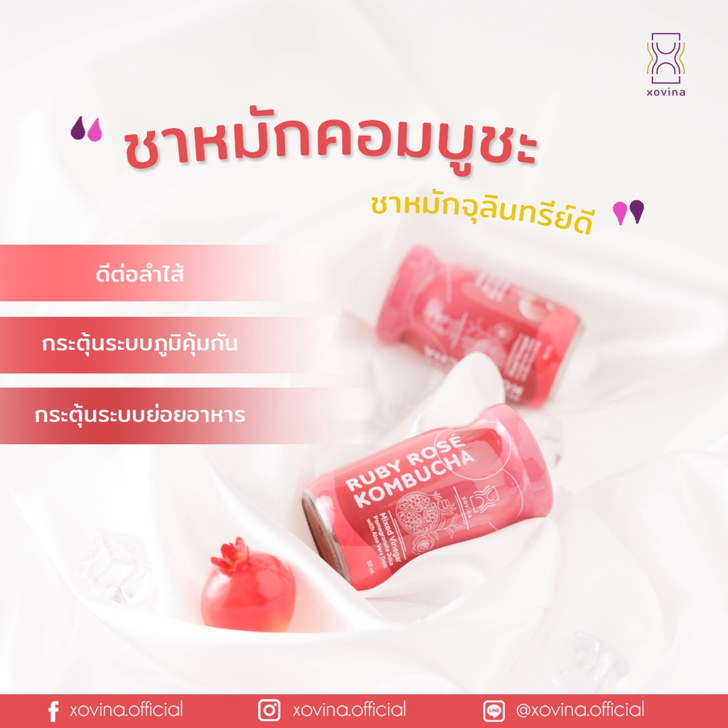 Pack 6 - Xovina RUBY ROSÉ KOMBUCHA โซวิน่า รูบี้โรเซ่คอมบูชะ - xovina.official - ThaiPick