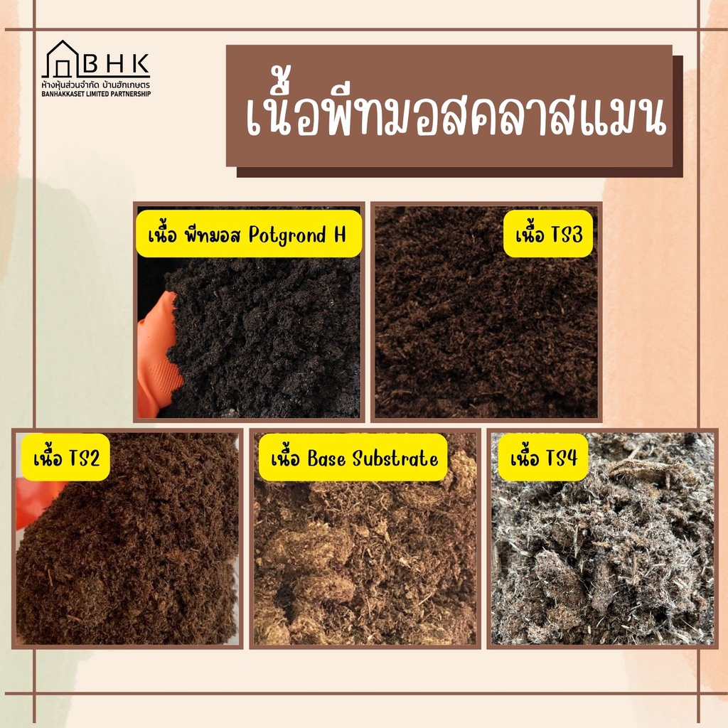 พีทมอส คลาสแมน Base Substrate TS2 TS3 TS4 [ส่งฟรี] ของแท้นำเข้า สำหรับ ...