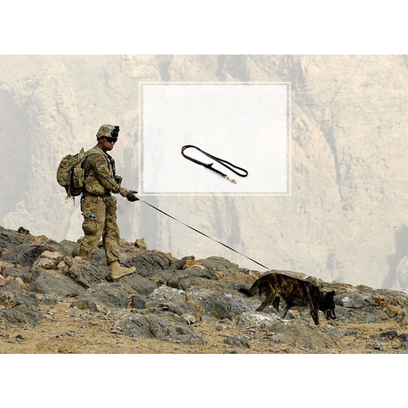 3m long Large Dog Leash Walking Training Lead Braided Real Leather pet ...