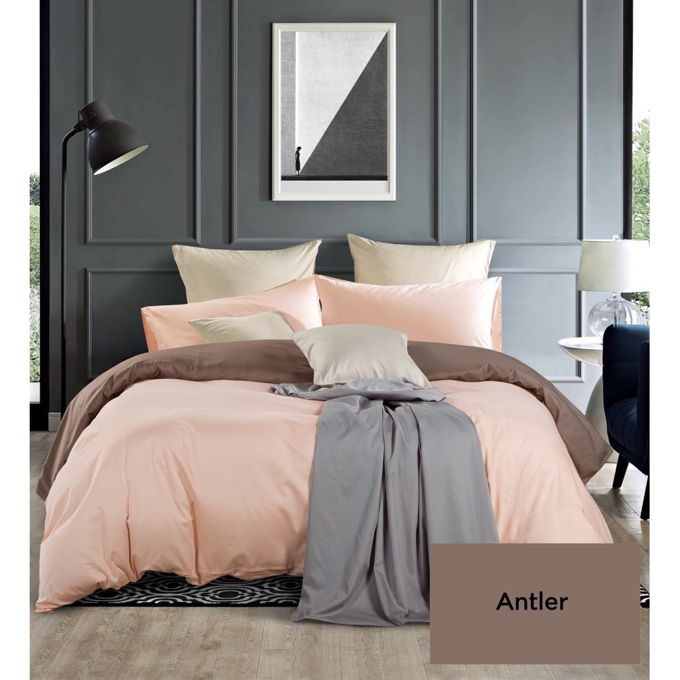 [ราคาโปร] Cannon ชุด ผ้าปูที่นอน รุ่น Truluxe Dionne Katelyn Collection ...