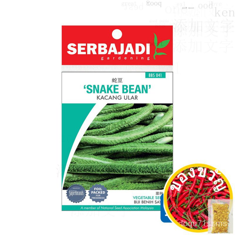 BAJA SERBAJADI Snake Bean Vegetable Seed BBS041 1gmทานตะวันseedsบ้านและเตียงเสื้อผ้าอนามัย เมล็ด ...