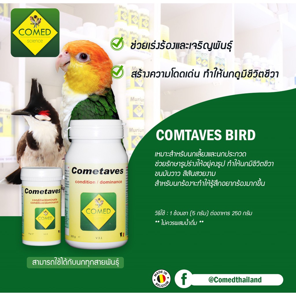 โคเมด COMED : อาหารเสริมนกช่วยเร่งร้องและเจริญพันธุ์ COMETAVES BIRD ...