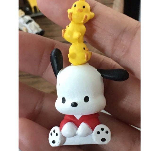 pochaco ถูกที่สุด พร้อมโปรโมชั่น ธ.ค. 2025 | BigGoเช็คราคาง่ายๆ