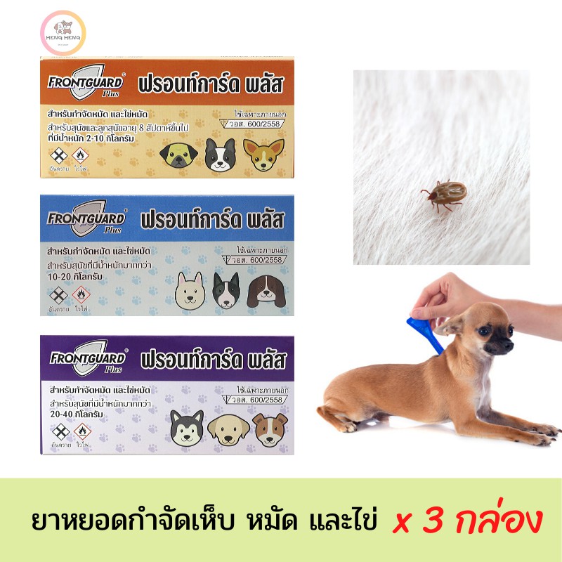 Frontguard Plus(3 กล่อง) ยากำจัดเห็บหมัดแบบหยดสำหรับสุนัข มีให้เลือก 3 ...