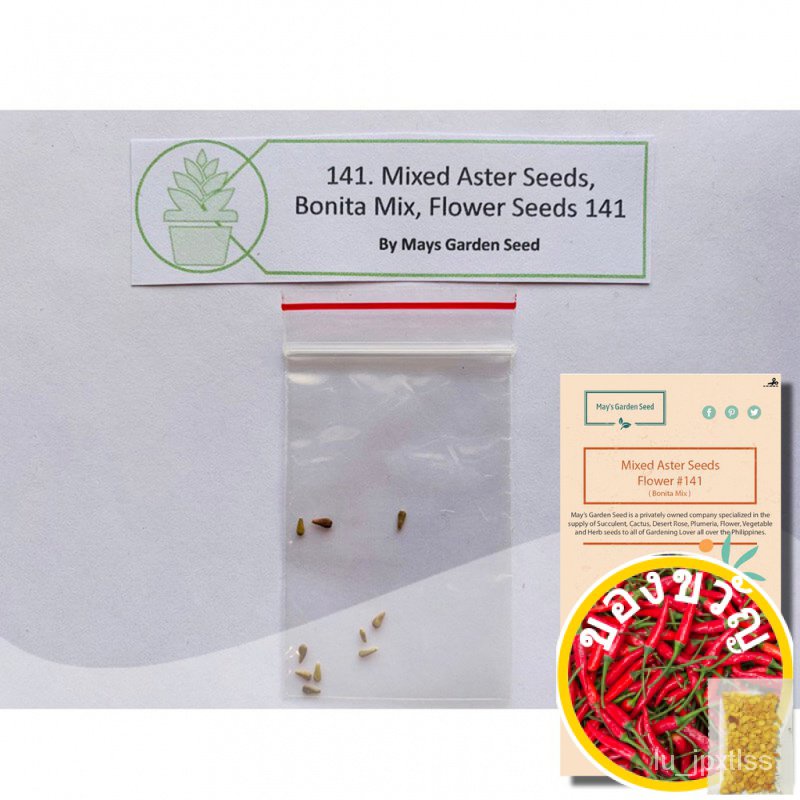 Mixed Aster Seeds Bonita Mix Flower Seeds141香菜母婴苹果帽子上衣男装通心菜内裤头饰文胸 AUWL ...