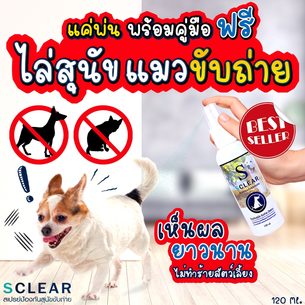 SCLEAR, ร้านค้าออนไลน์ | Shopee Thailand