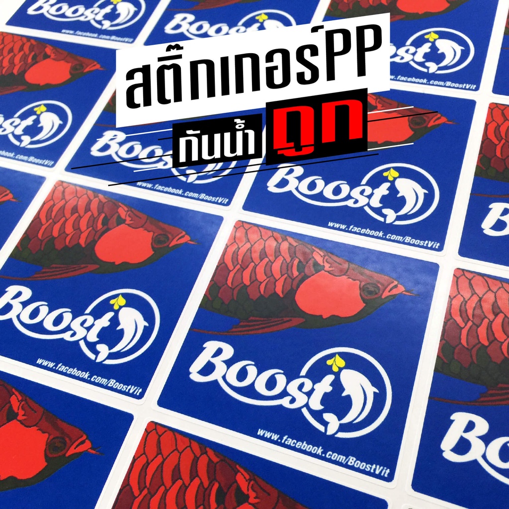 สติ๊กเกอร์ฉลากสินค้ากันน้ำ Pp ขนาด A3 เนื้อเงาด้านพื้นใส ฉลากสินค้า ราคาถูก ส่งเร็ว Snowwhite